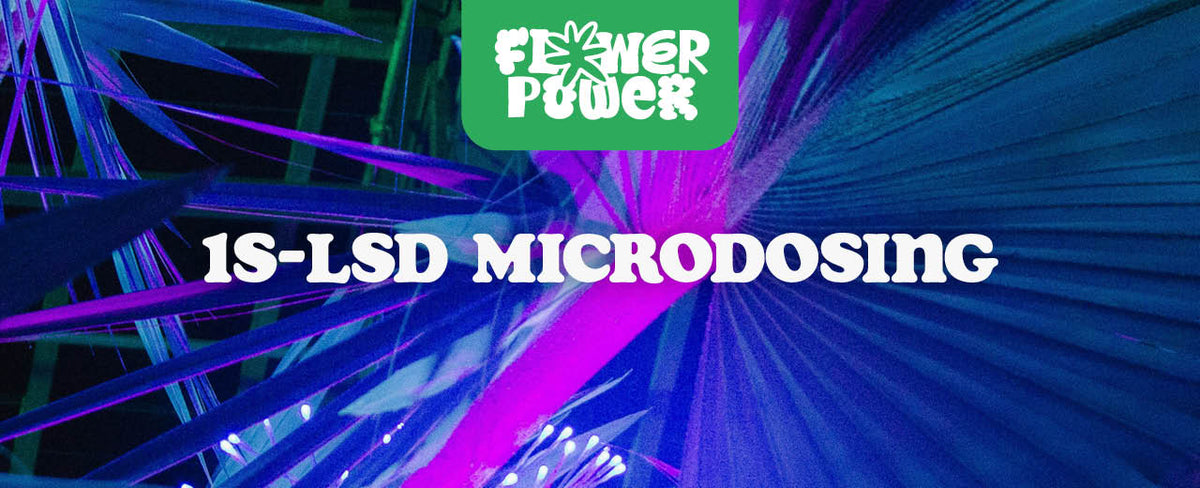 1S-LSD Microdosing: Chancen, Erfahrungen & Forschung | Flower Power