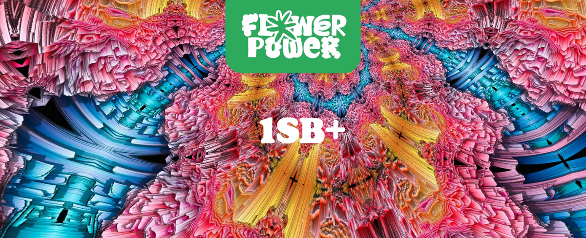 1SB+ (1-B-LSD) erklärt: Wirkung, Legalität & Risiken | Flower Power