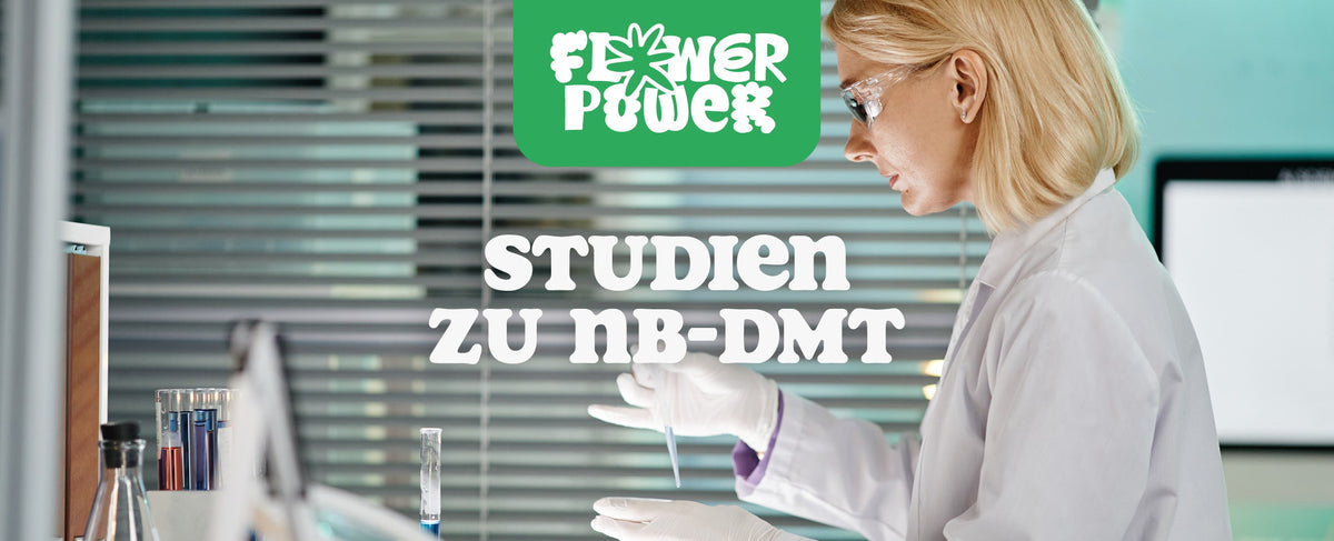 Studien zu NB-DMT – Aktuelle Forschung & Erkenntnisse | Flower Power