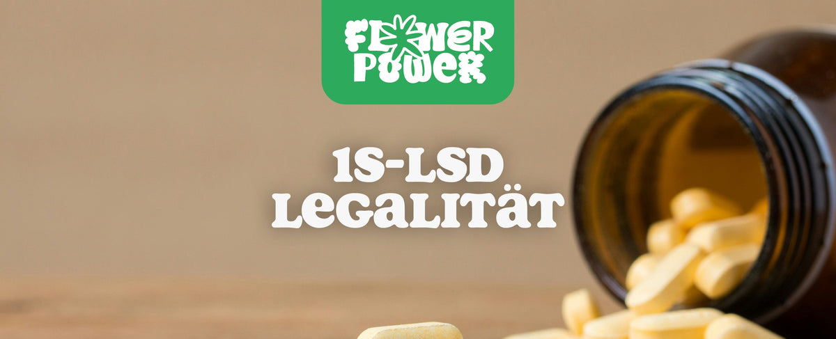 1S-LSD Legalität: Was ist erlaubt – und was nicht? | Flower Power