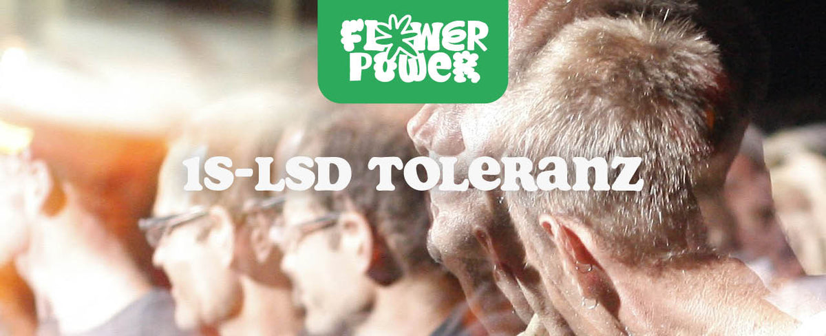 1S-LSD Toleranz: Wie schnell passt sich der Körper an? | Flower Power