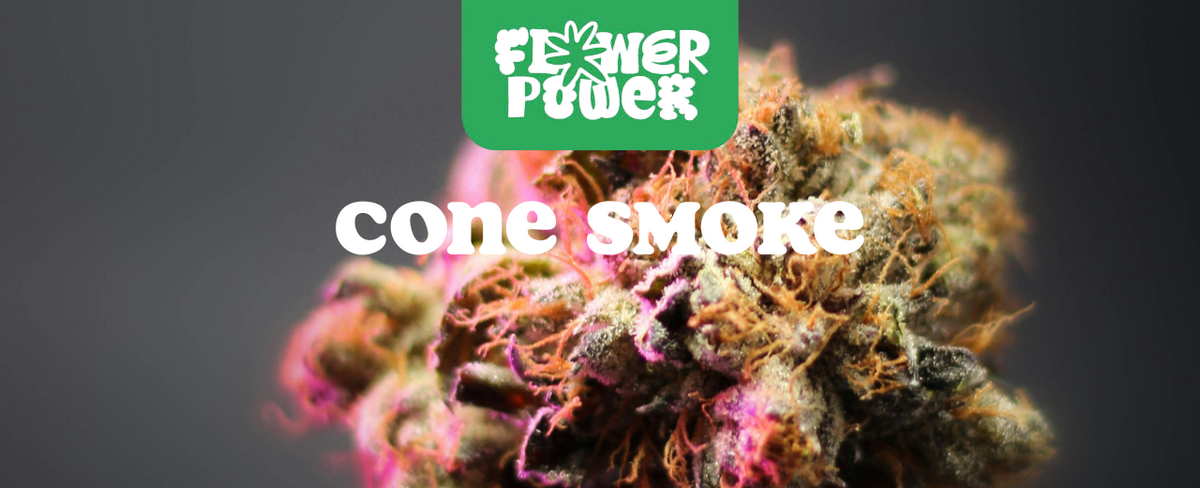 Cone Smoke Guide: King Size, Rose & vegane Optionen | Flower Power